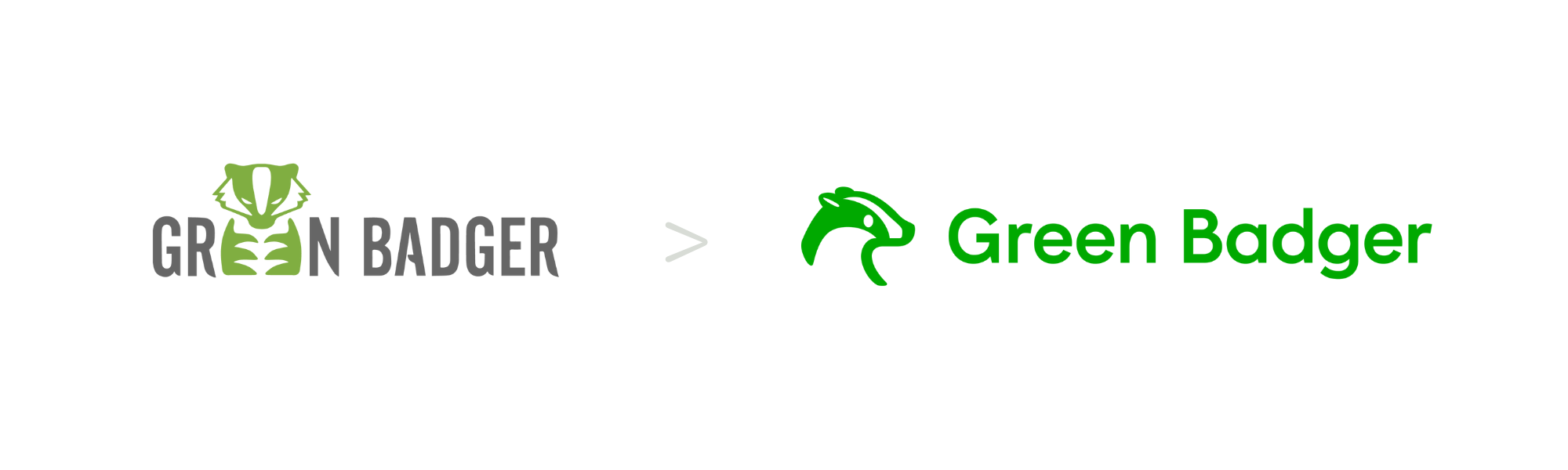 Refreshed Brand Identity Design | Green Badger